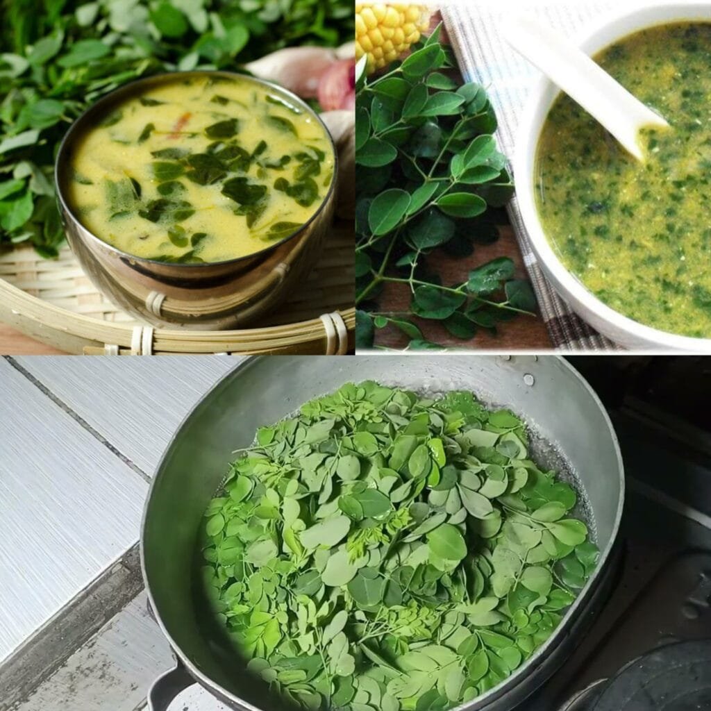 Delicious Moringa Clear Soup Recipe - EASY RECIPES