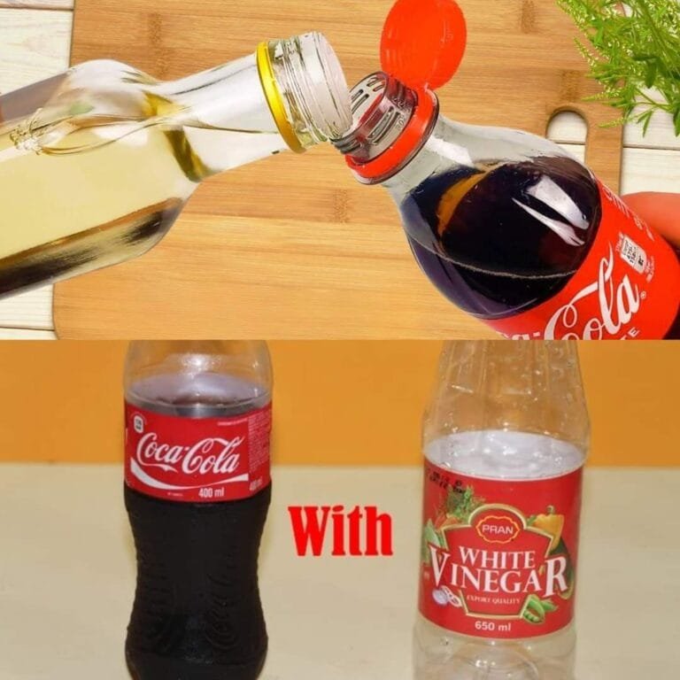 The Surprising Wonders of Mixing White Vinegar with Coca-Cola - EASY ...